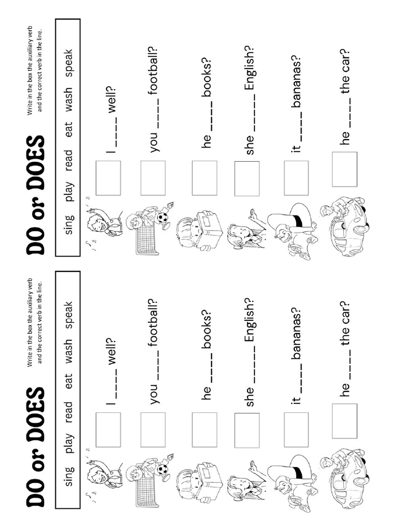 Do Does Activity | PDF