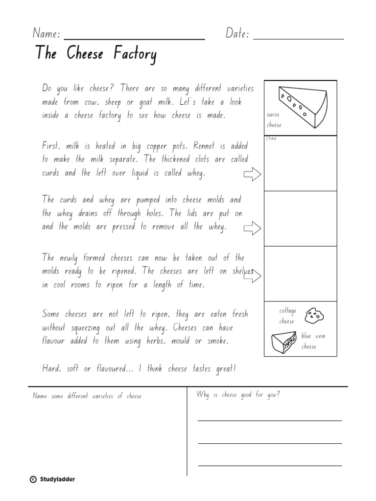 Reading and Comprehension Sheet 1 | PDF | Cheese | Cheesemaking