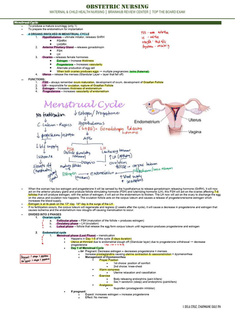 Ob 1 | PDF | Menstrual Cycle | Luteinizing Hormone