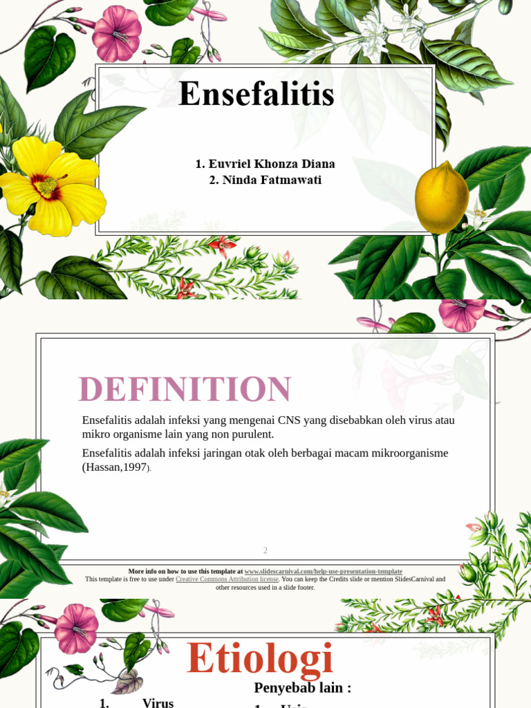 KMB (Ensefalitis) | PDF