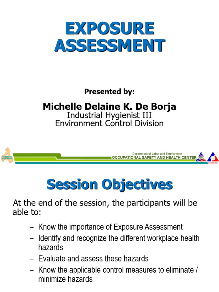 Exposure Assessment | PDF
