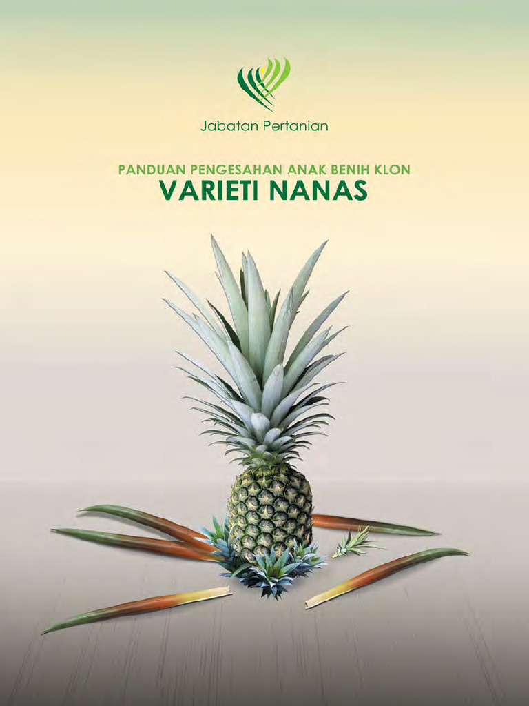 Panduan Pengesahan Anak Benih Nanas | PDF