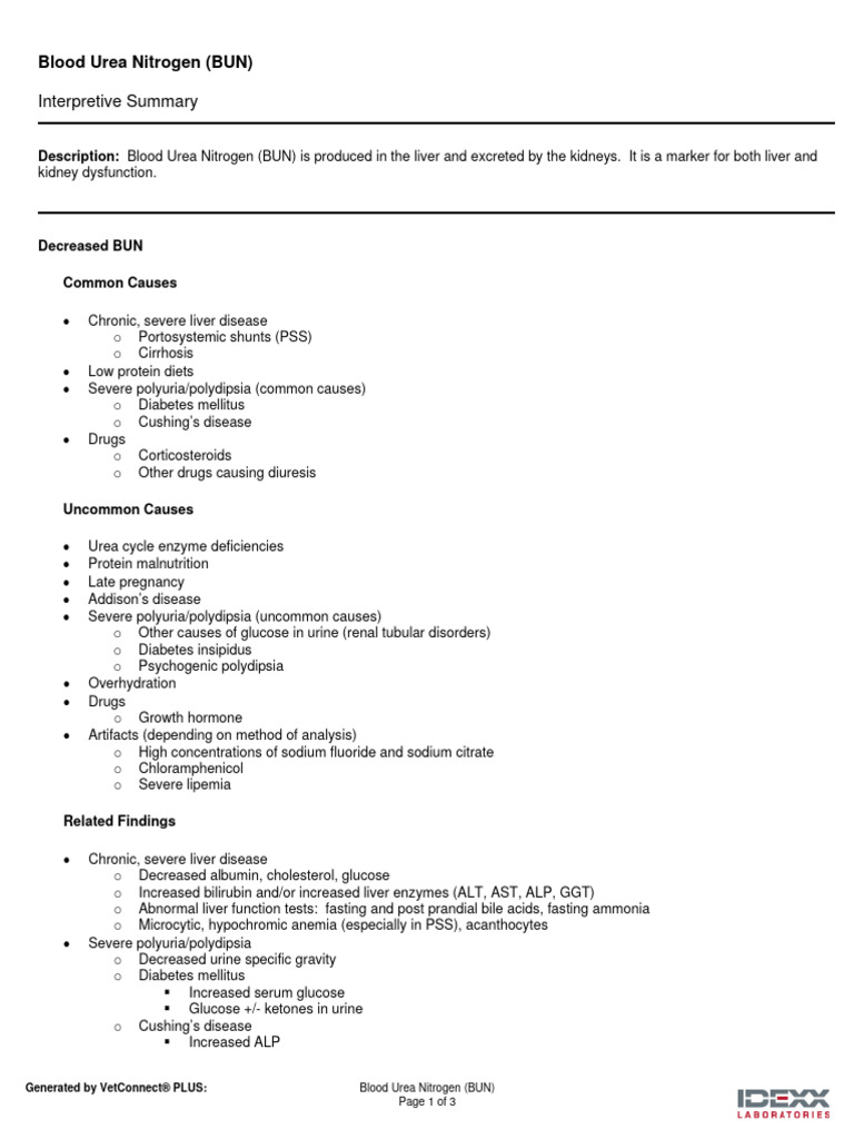 Interpretive Summary: Blood Urea Nitrogen (BUN) | PDF | Kidney | Causes ...