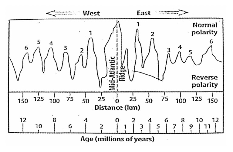 Magnetic Polarity Map | PDF