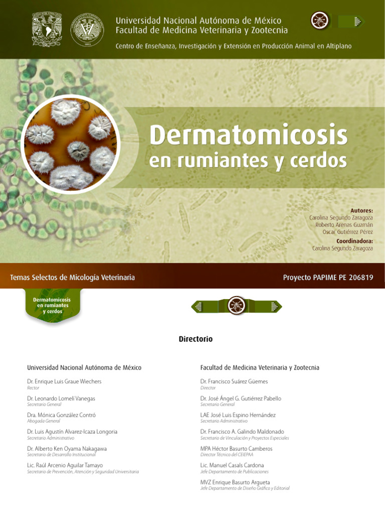Dermatomicosis en rumiantes y cerdos | PDF | Especialidades Medicas ...