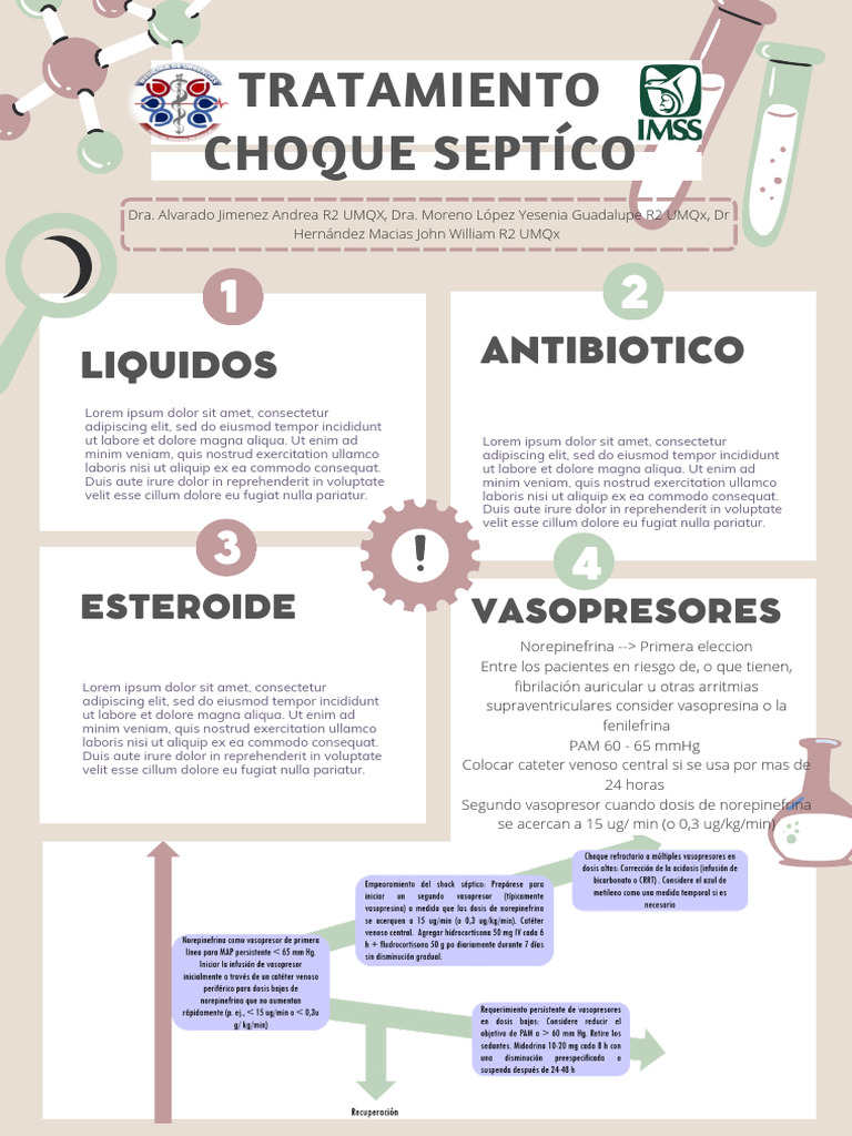 Tratamiento Choque Septico | PDF