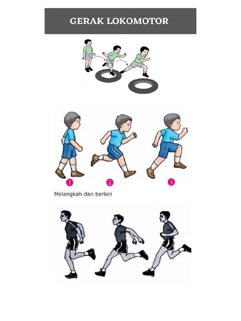 Gerak Lokomotor | PDF