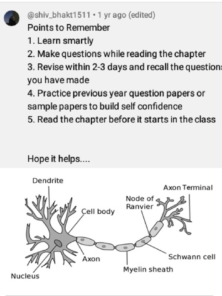 Class 10 Important Diagrams and Questions | PDF