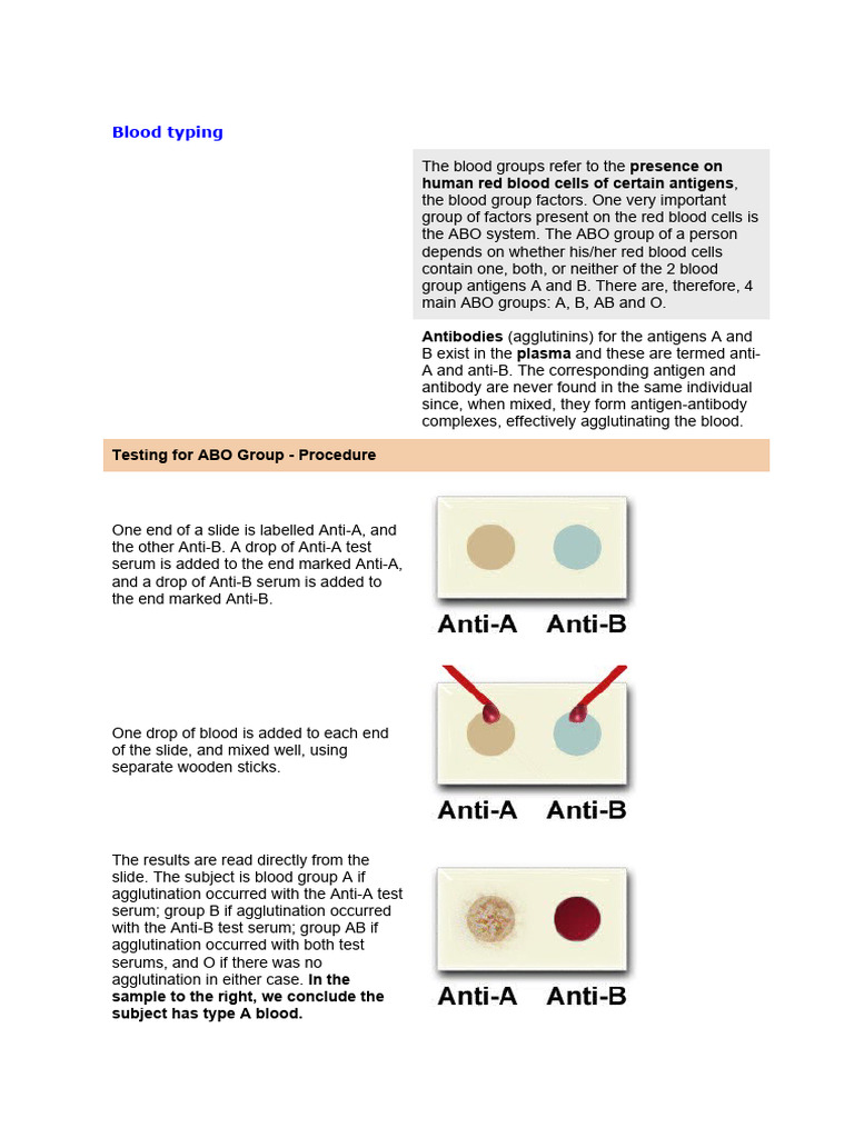 Blood Typing System | PDF | Blood Type | Medical Specialties