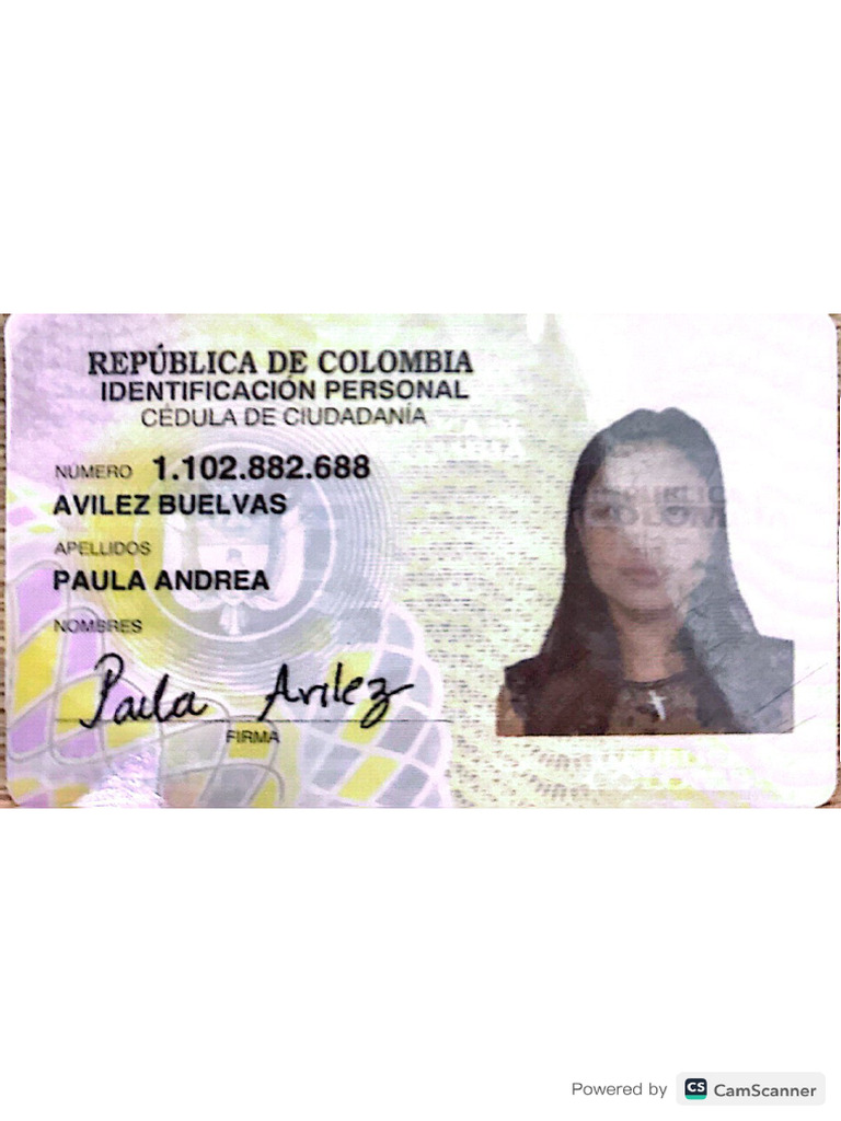 Cédula Paula Avilez | PDF