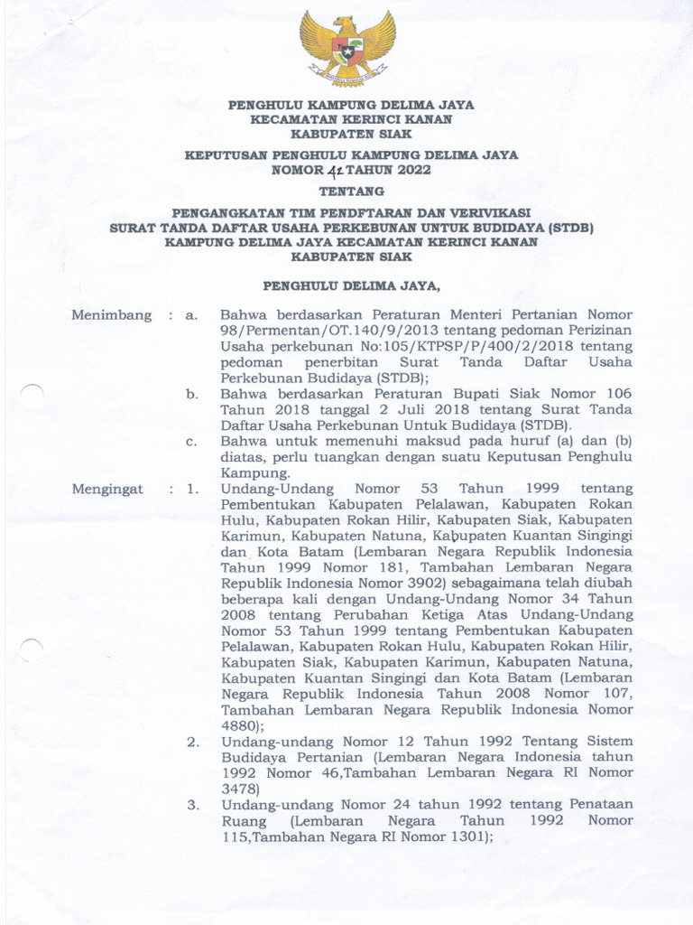 Contoh SK Pendataan STDB Kampung | PDF