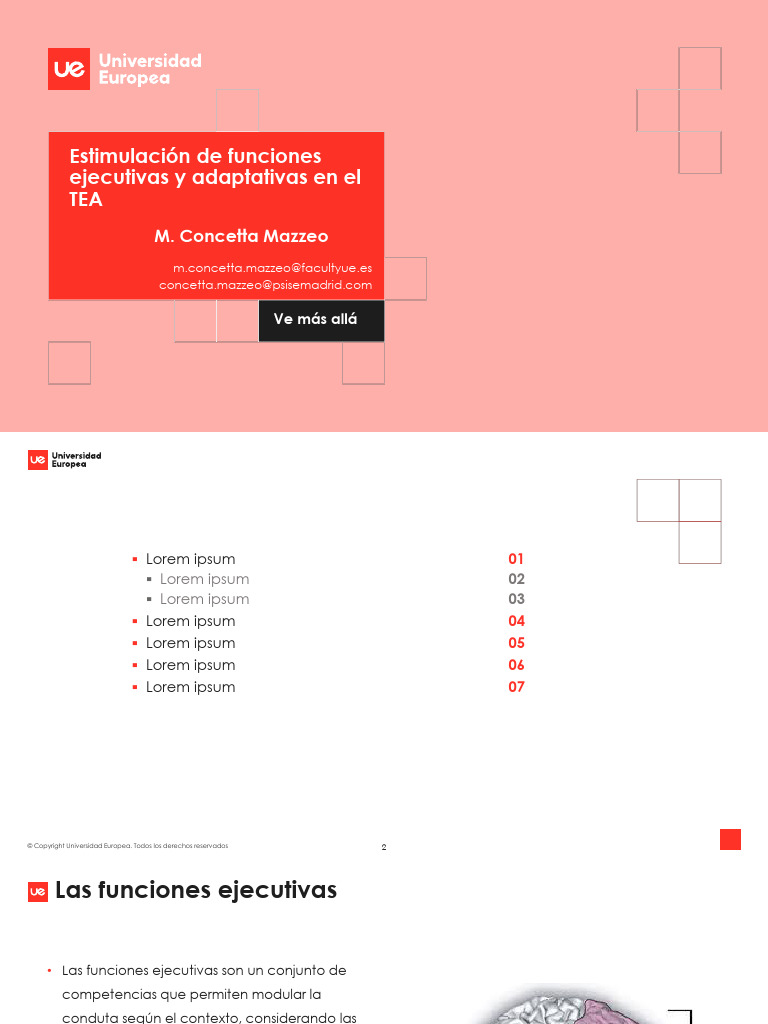 2.4.4 - Est. Func. Ejec. y Adapta. TEA | PDF | Las emociones | Sicología