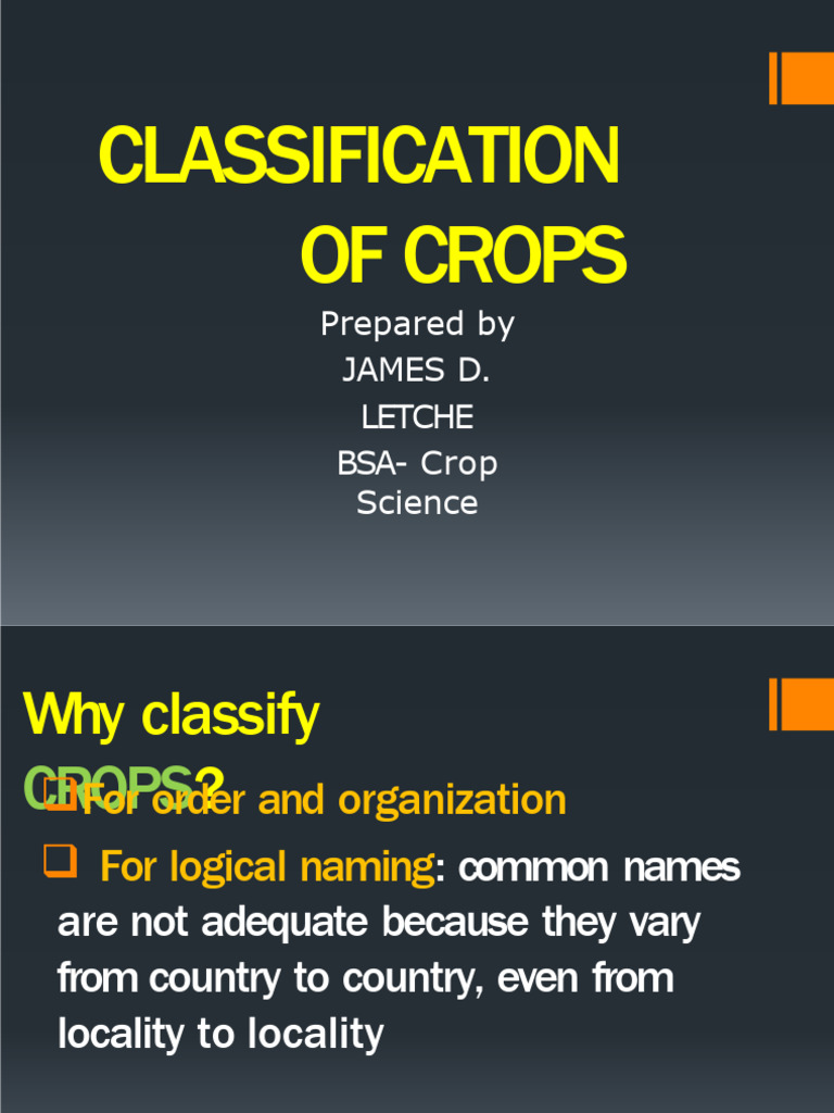 Chapter 3 Classification of Crops | PDF | Fruit | Botany