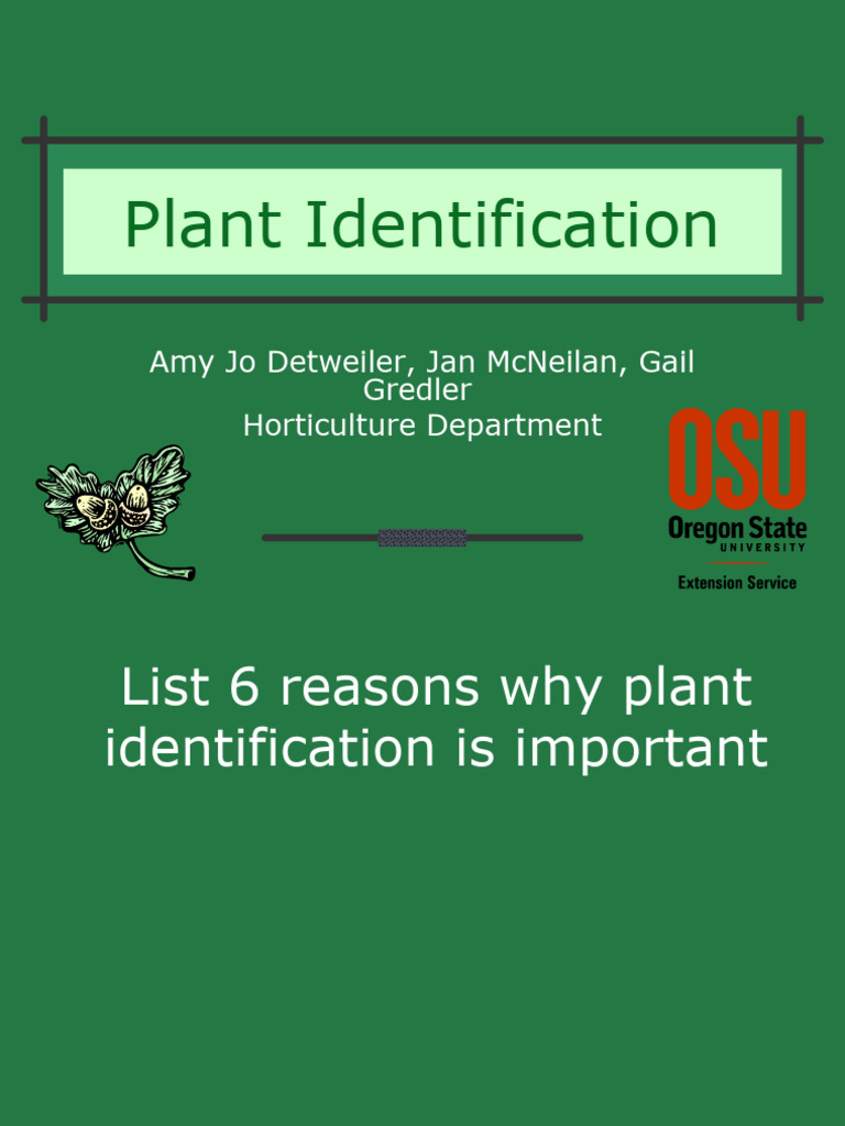 Plant Identification Handout | PDF | Cultivar | Leaf