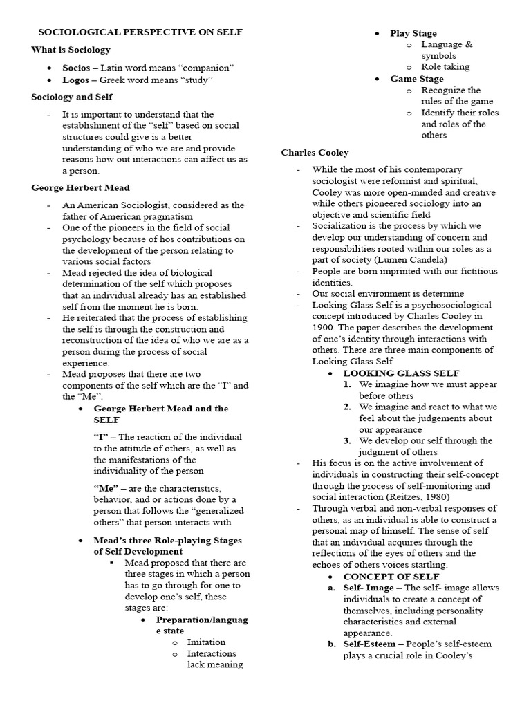 Mead's Theory of Self Development | PDF | Sociology | Self Concept