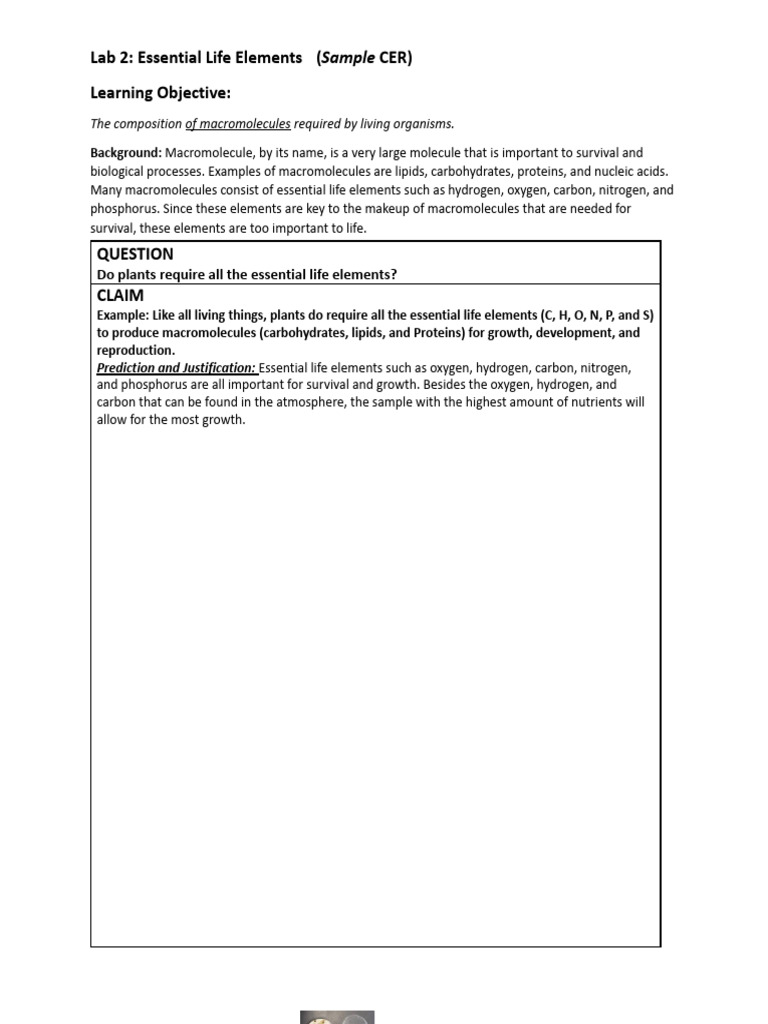 Lab2 Macromolecules CER | PDF | Macromolecules | Life