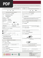 AM-SRT Formato Editable | PDF