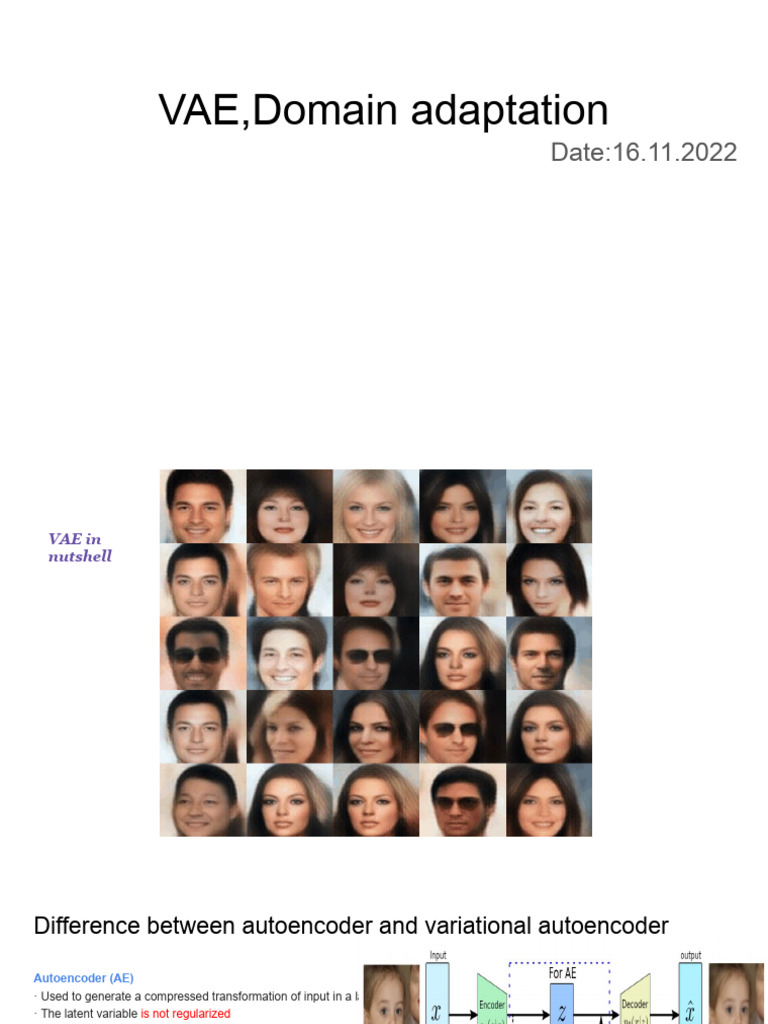 VAE, Domain Adaptation | PDF | Statistical Theory | Systems Science