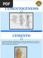 Histologia Bucal - Dentina | PDF | Dentina | La matriz extracelular
