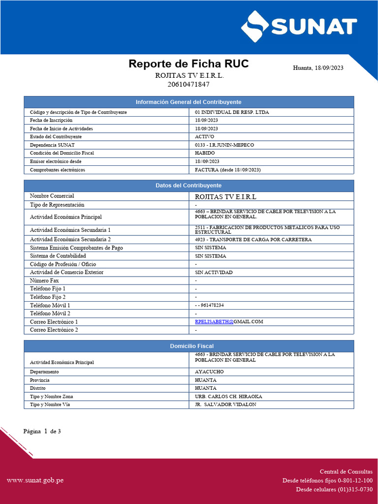 Ficha de Ruc | PDF | Teléfonos móviles | Economias