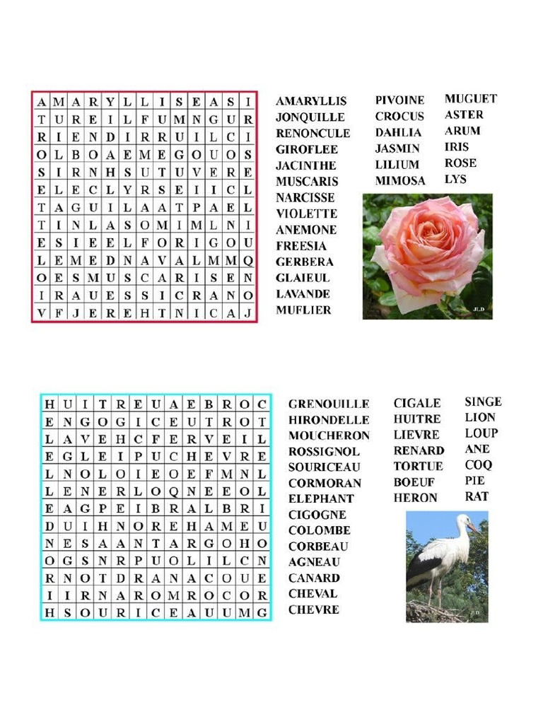 Mot Meles Fleurs:Oiseaux | PDF