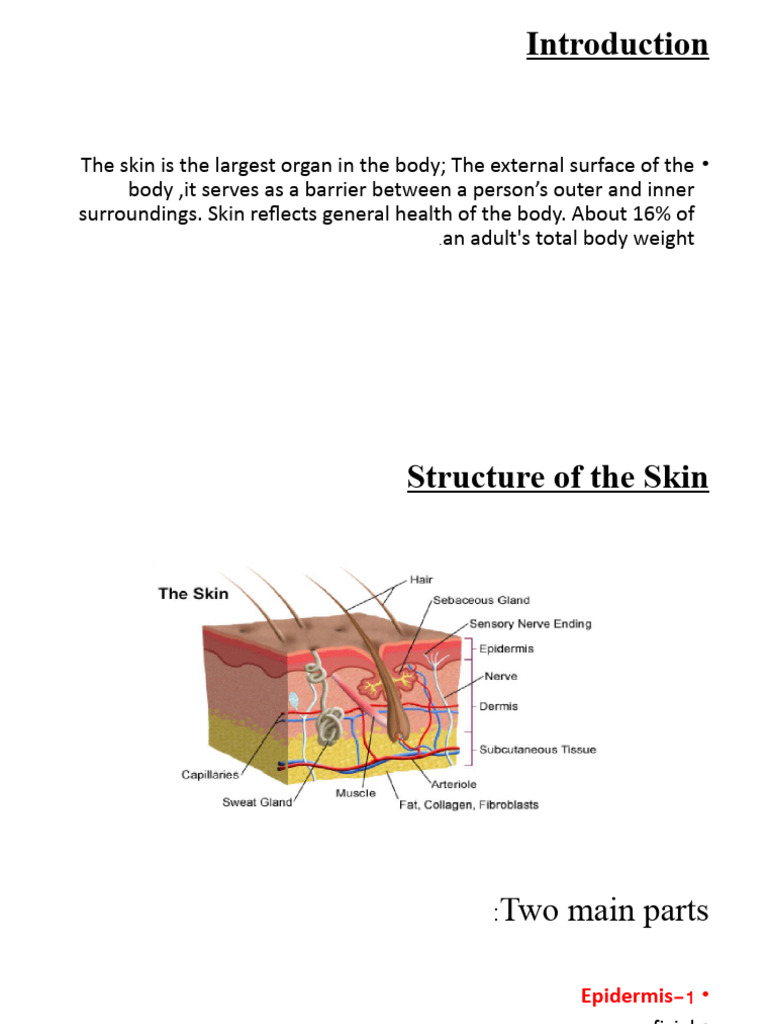 Comprehensive Skin Assessment Guide | PDF | Self-Improvement