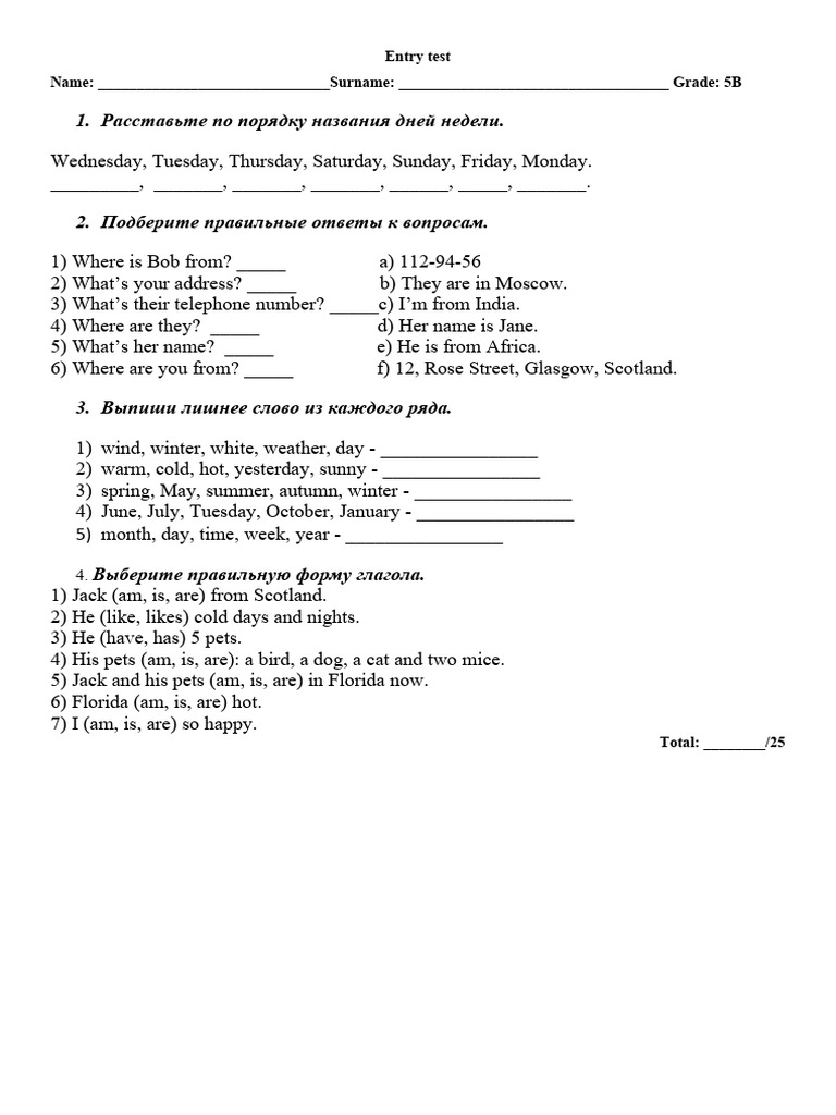 Entry Test 5 Grade | PDF