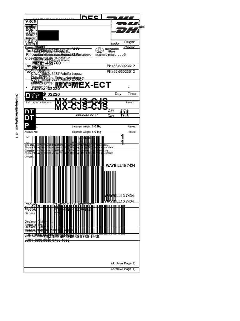 Etiqueta de DHL | PDF