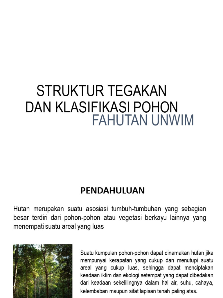 Komposisi Hutan, Struktur Tegakan Dan Klasifikasi Pohon New | PDF