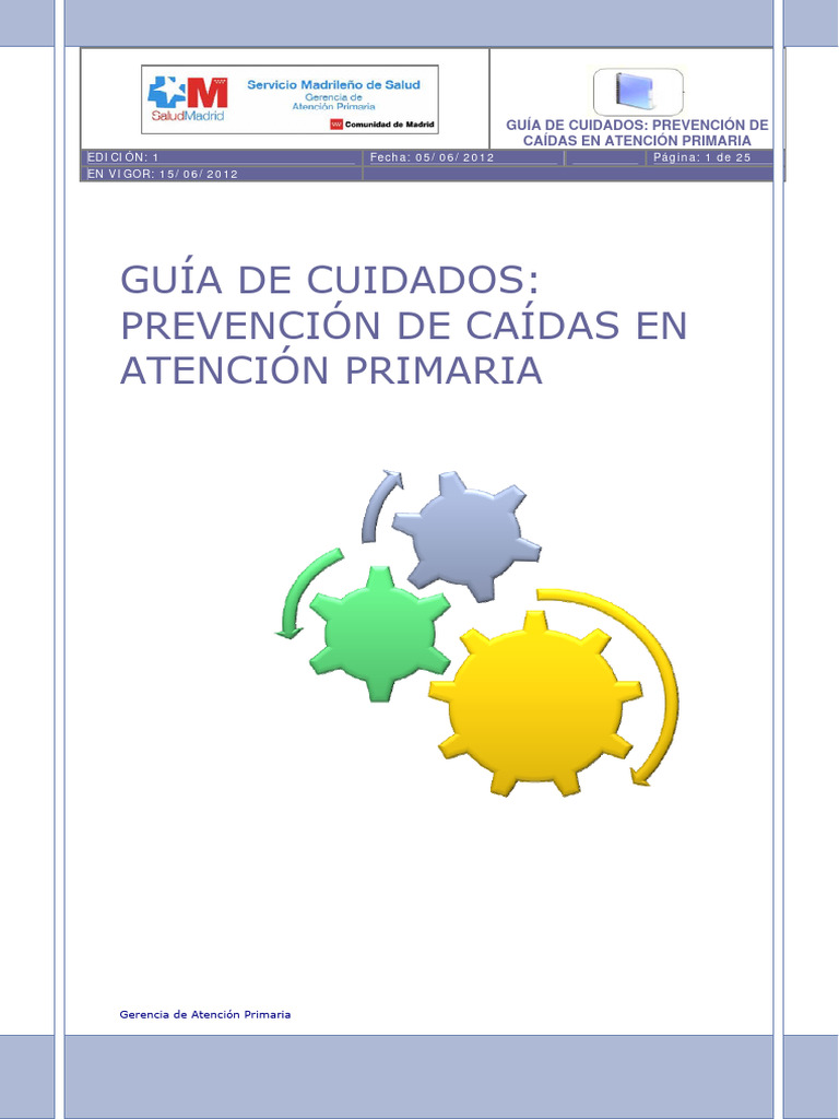 Gu - A de Cuidados - Riesgo - Ca - Das | PDF | Medicina | Programas sociales