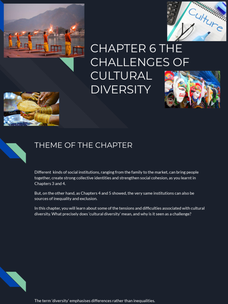 Chapter 6 The Challenges of Cultural Diversity | PDF