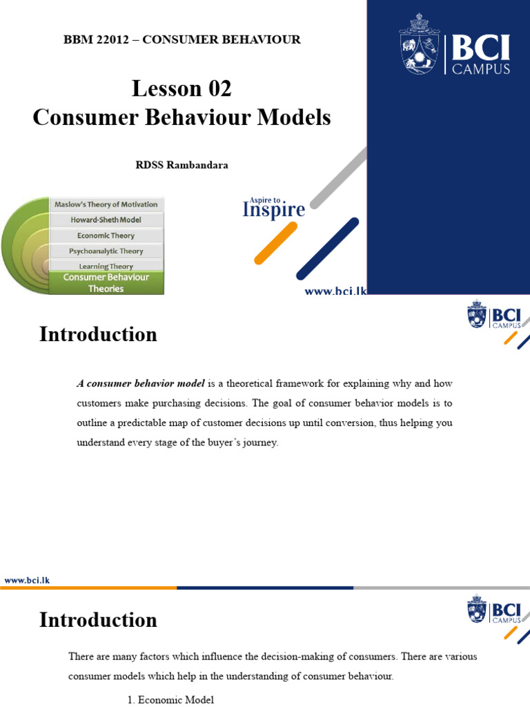 Lesson 02 | PDF | Behavior | Consumer Behaviour