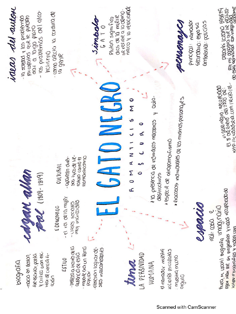 El Gato Negro Resumen | PDF El Gato Negro Resumen | PDF