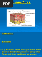 Quemaduras Faciales y Signos de Flogosis | PDF | Quemar | Inflamación
