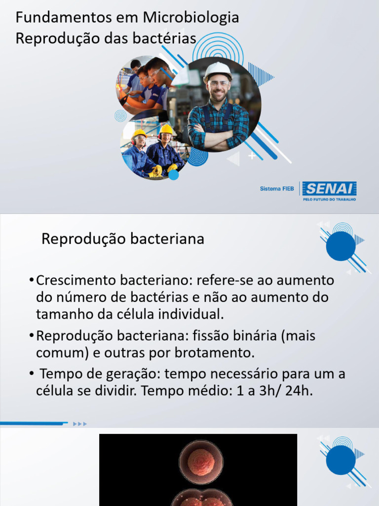 Fundamentos em Microbiologia - Aula 3 | PDF | Bactérias | Célula (Biologia)
