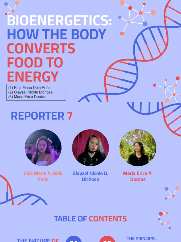 Bioenergetics: Food to Energy Conversion | PDF | Adenosine Triphosphate ...