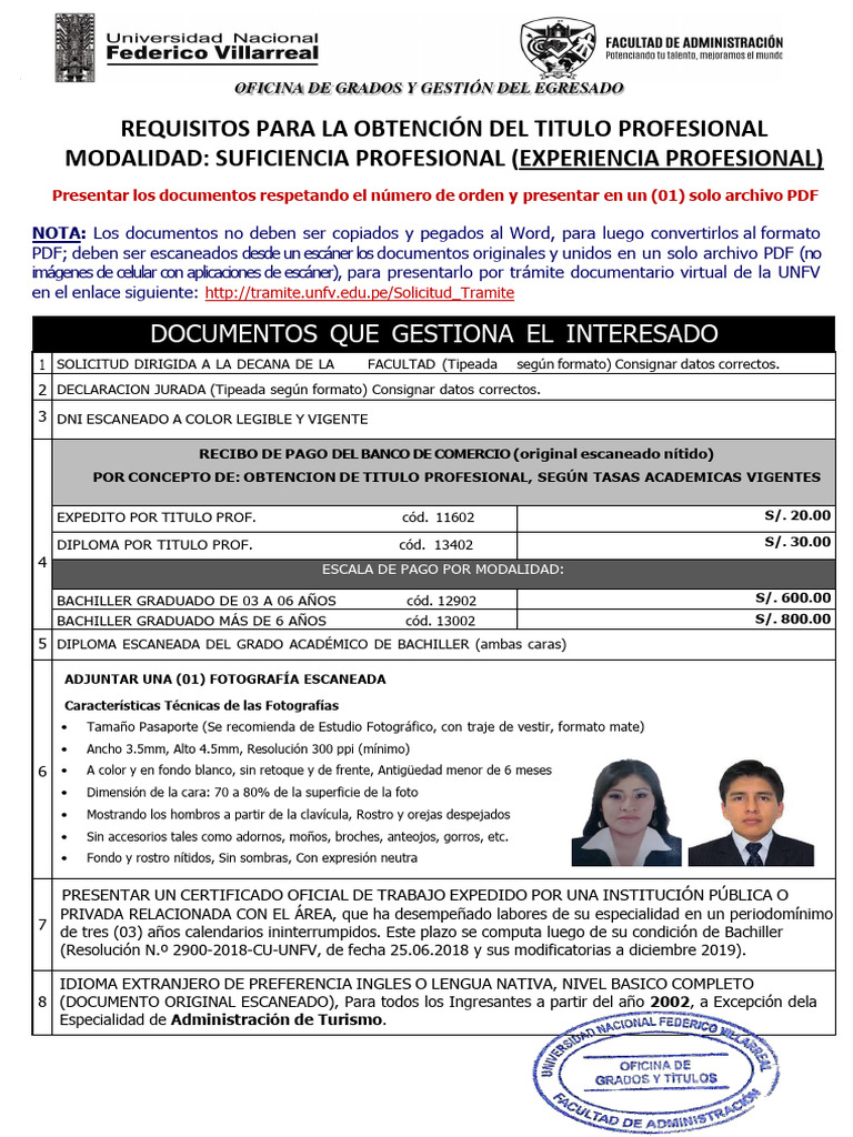Estructura Informe Sufiencia o Experiencia Profesional | PDF | Crecimiento personal y profesional