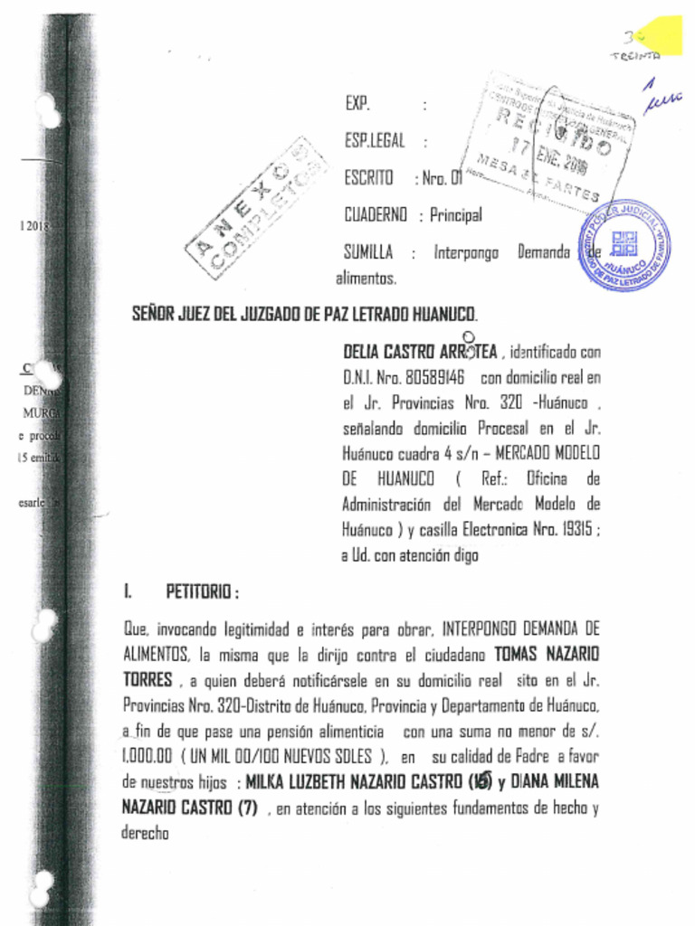 Demanda de Asistencia Familiar para Yami | PDF