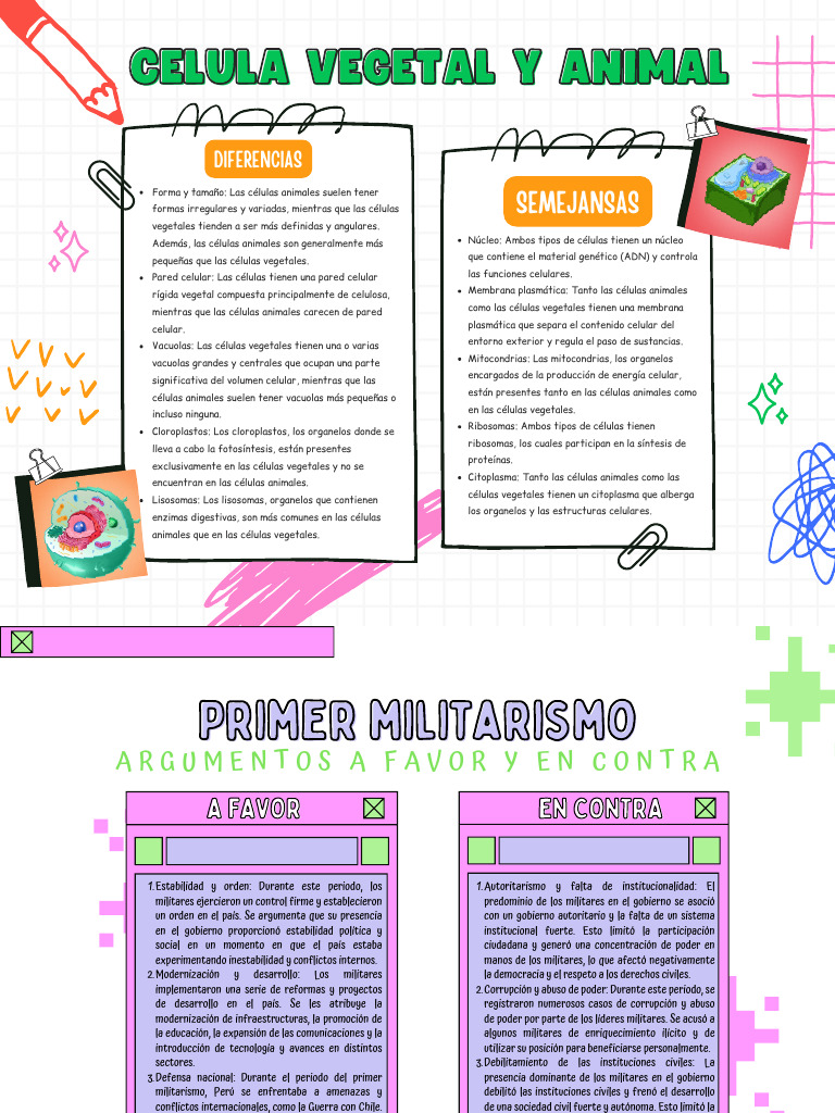 Gráfica Diferencias Entre Perros y Gatos Ilustrado Blanco | PDF ... Gráfica Diferencias Entre Perros y Gatos Ilustrado Blanco | PDF ...