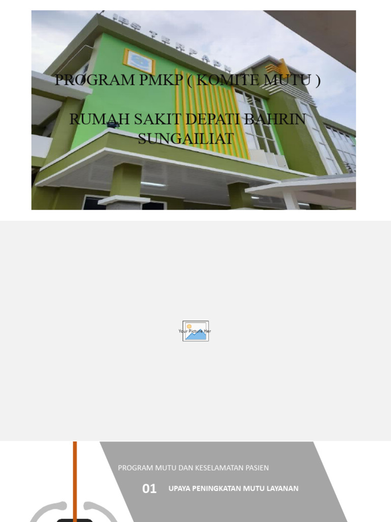 Program PMKP (Komite Mutu) Rumah Sakit Depati Bahrin Sungailiat | PDF | Sains & Matematika