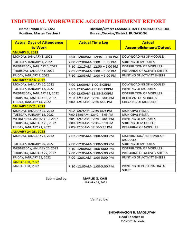 Casi Marlie-Individual-Workweek-Accomplishment-Report | PDF