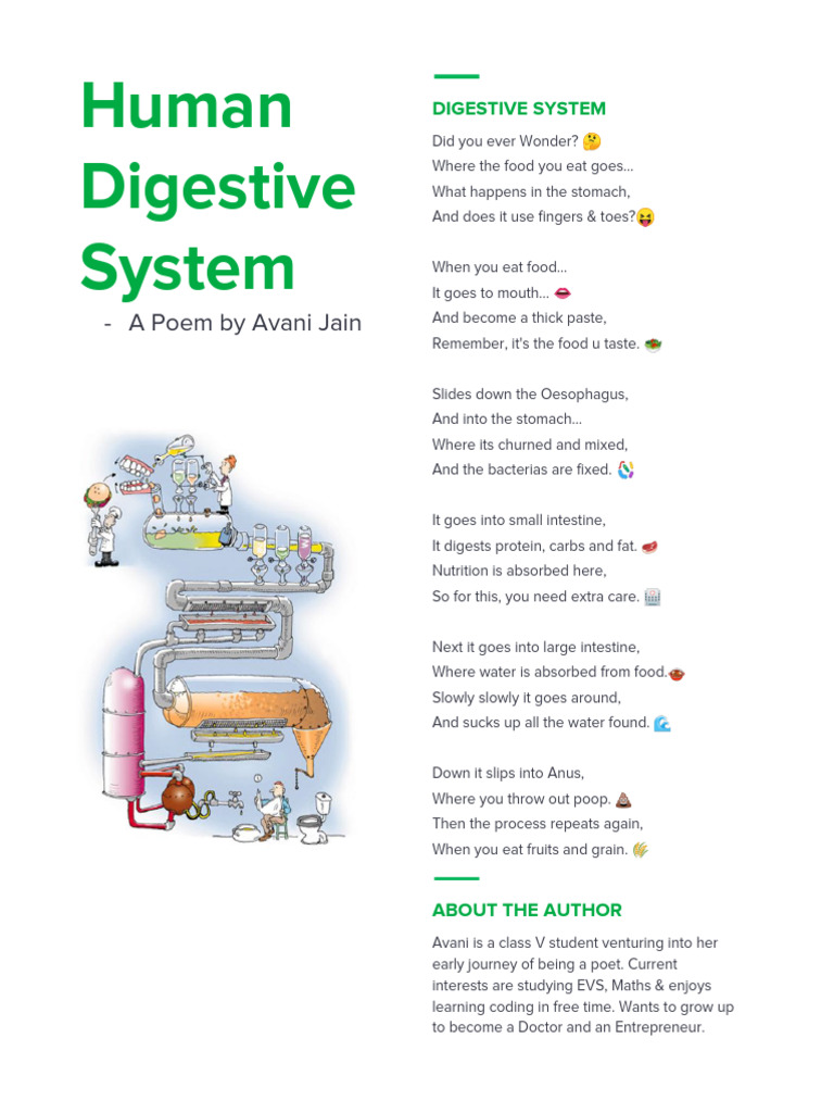 Human Digestive System - A Poem by Avani Jain | PDF