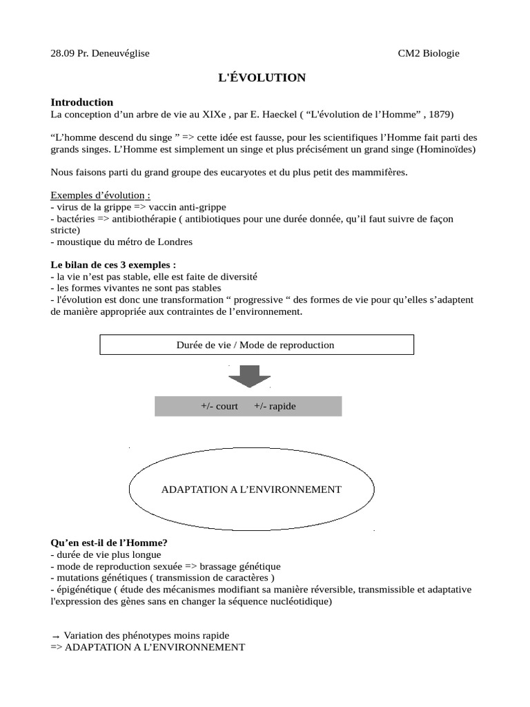 Théories de l'évolution et adaptation humaine | PDF | Évolution ...