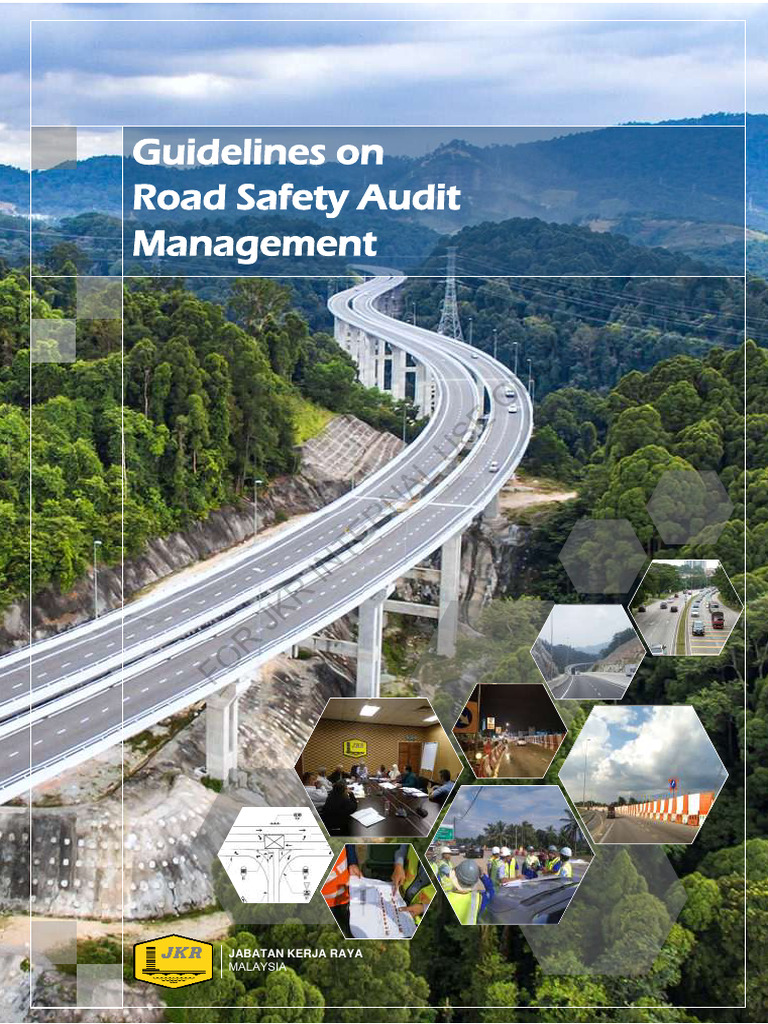 Guideline On RSA Management | PDF | Audit | Auditor's Report
