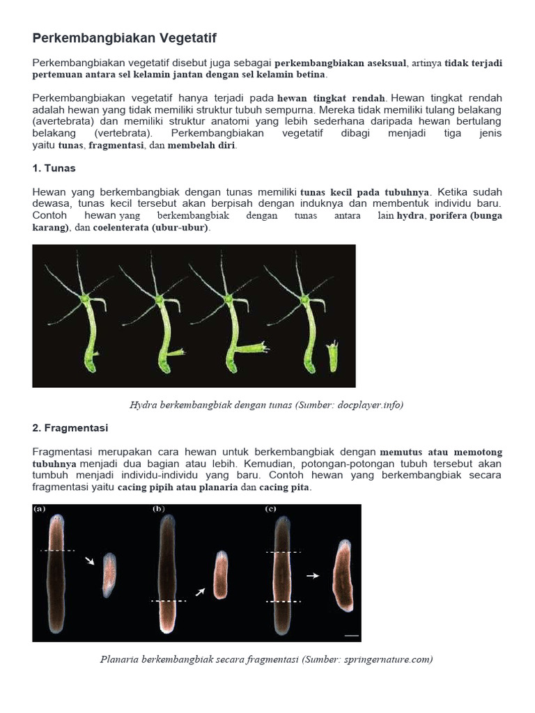 Perkembangbiakan Vegetatif | PDF