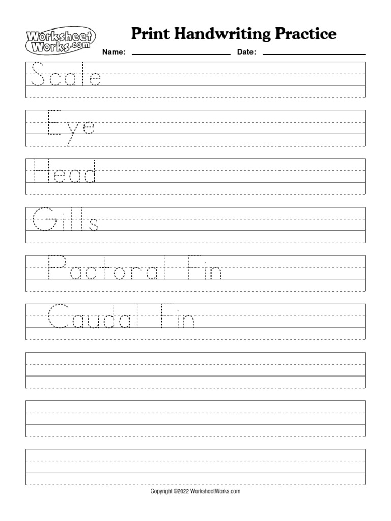 WorksheetWorks Print Handwriting Practice 1 | PDF