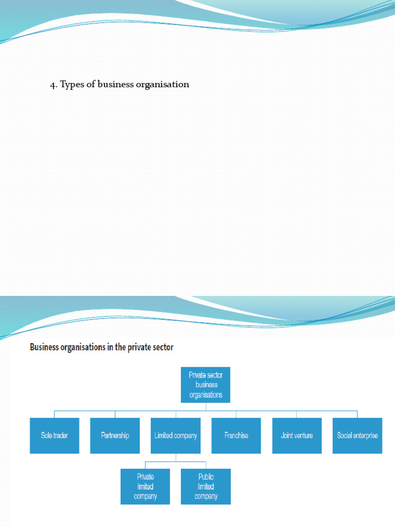 Types of Business Organizations Explained | PDF | Sole Proprietorship ...