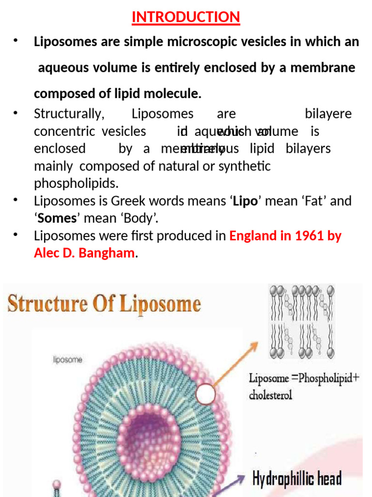 Liposomes 181012045701 | PDF | Phospholipid | Liposome