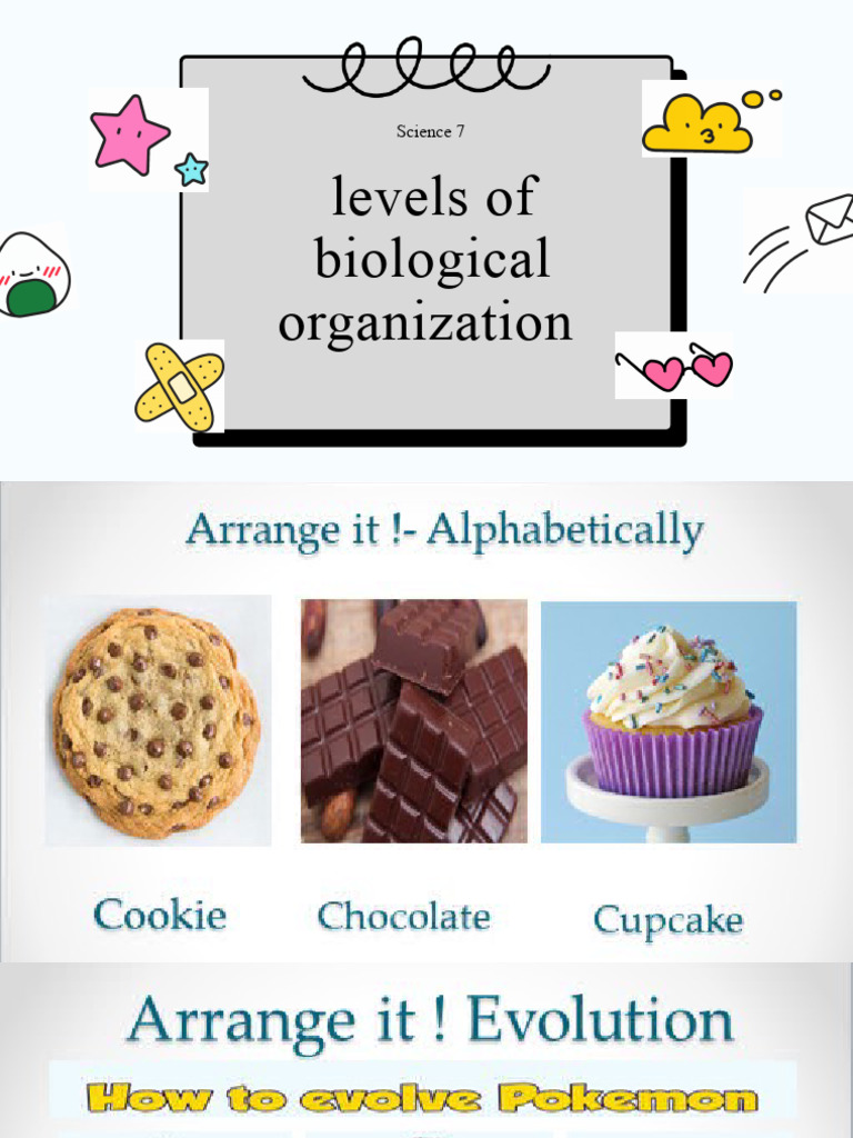 Levels of Organization | PDF
