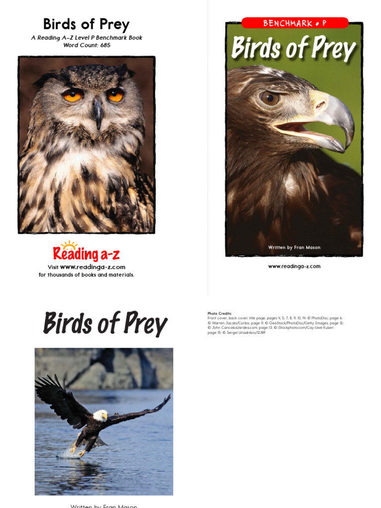 P Birds-of-Prey | PDF | Owl | Eagle
